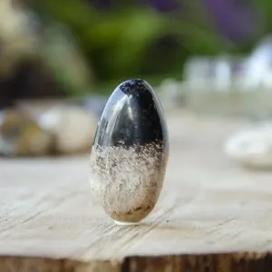 Palm Root, Fossilized ~ Dreaming Goddess