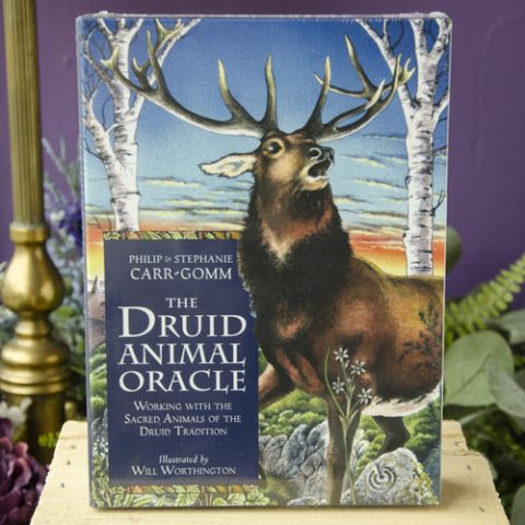 Druid Animal Oracle, The ~ Dreaming Goddess