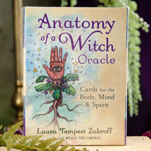Anatomy of a Witch Oracle ~ Dreaming Goddess